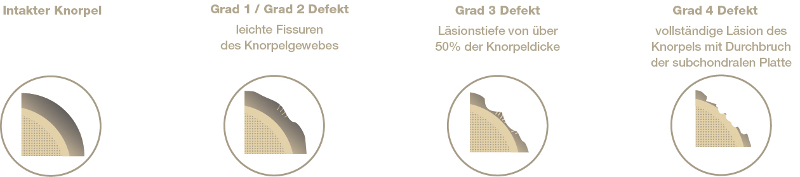matricel - Cartimaix